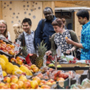 Tudor Markets – Leading market managment experts